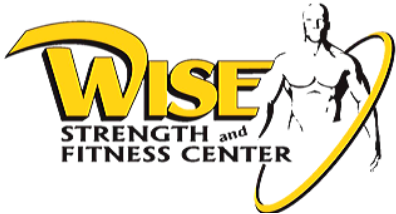 Wise Physical Therapy and Sports Medicine Group